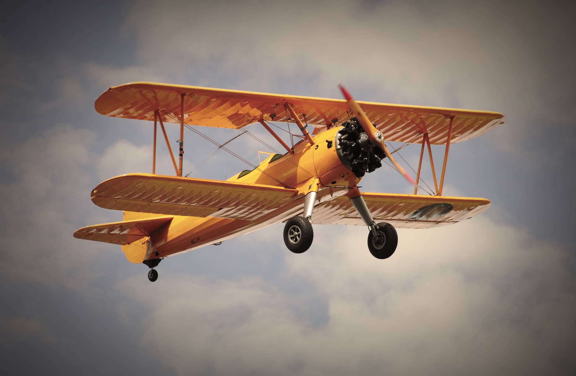 37 Types of Planes that Rule the Sky (With Photos)